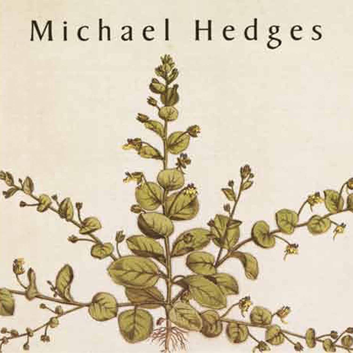 Taproot: Amazon.co.uk: Music