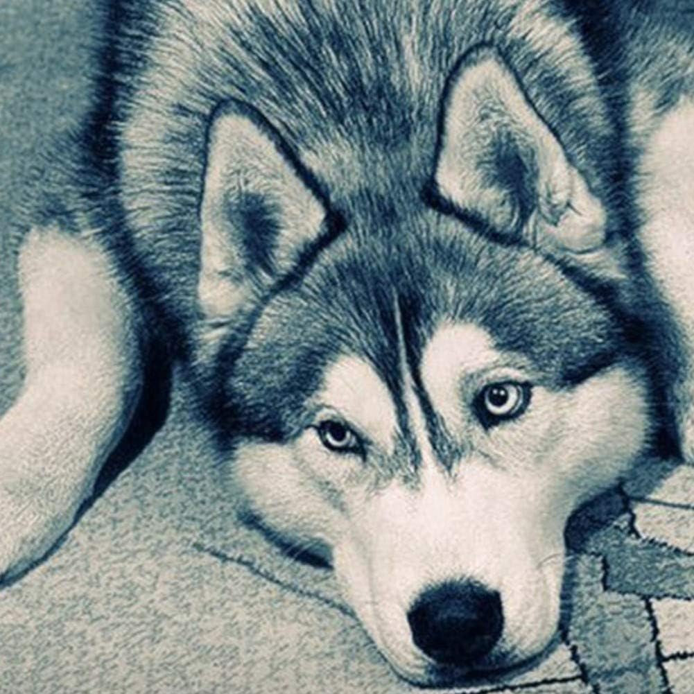 New 5D Diamond Painting Kits for Adults Kids, Awesocrafts Husky, Dog ...