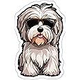Amazon.com: Havanese Sticker | Vinyl Stickers & Waterproof Decals ...