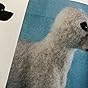 A Masterclass in needle felting dogs: Methods and Techniques to Take ...