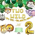 Amazon.com: Jungle Theme Two Wild Party Decorations, 2nd Birthday ...