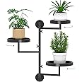 Amazon.com: Indoor Rotating Plant Shelf for Optimal Sunlight: 3-Tier ...