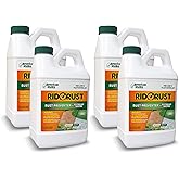 Amazon.com: Rid-O-Rust Outdoor Rust Preventer, Concentrated Formula ...