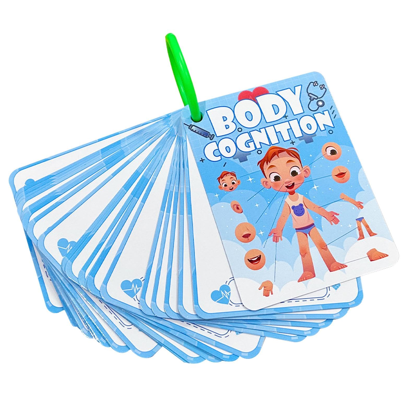 Mua Body Parts Learning Flash Cards, Human Anatomy Flash Cards, Body ...