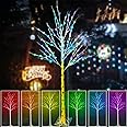 Amazon.com: Lighted Colorful Led Birch Tree, Lit Color Changing 6Ft ...
