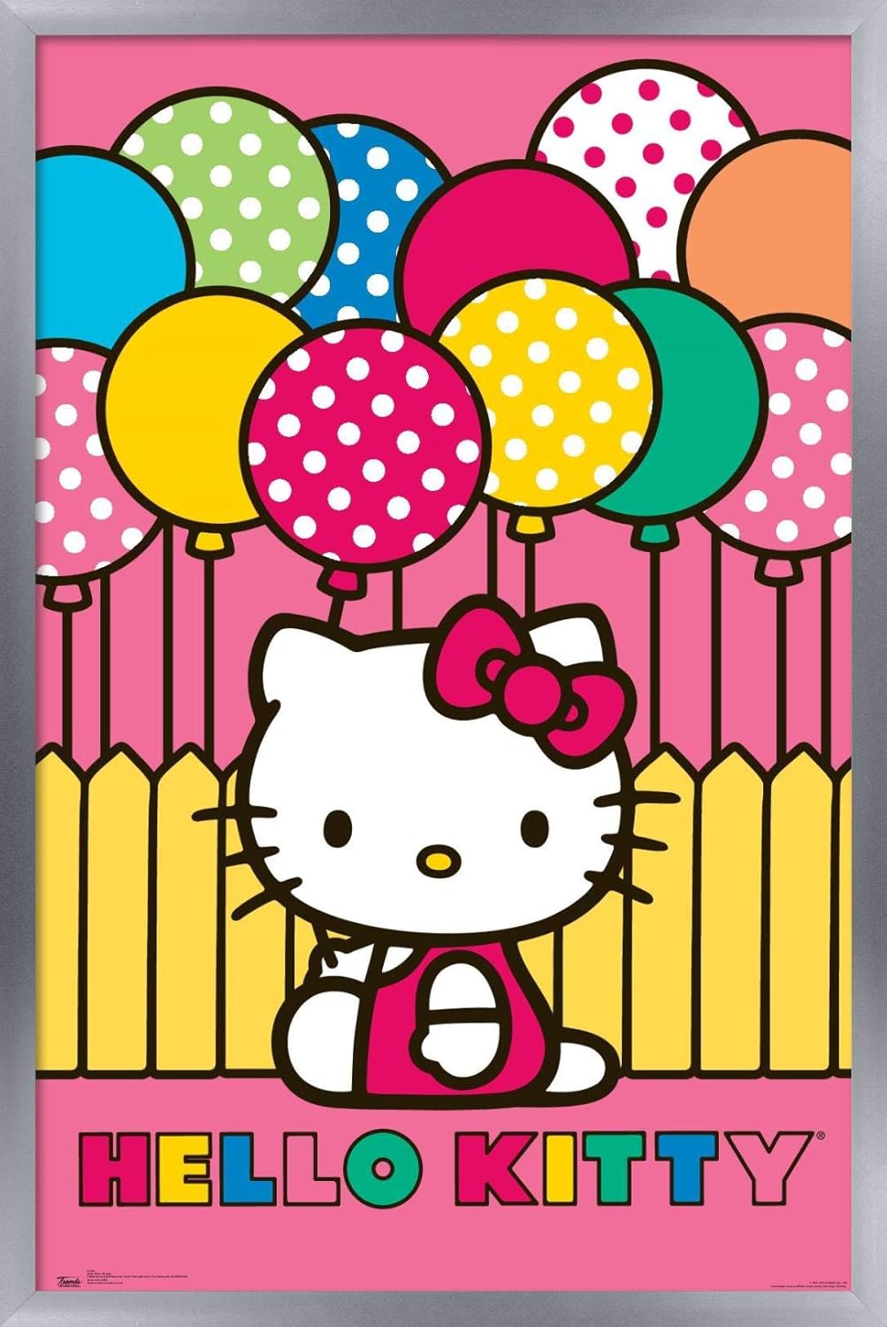 Hello Kitty - Mimmy: Amazon.ca: generic