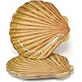 Amazon.com: 50 Sea Shell Paper Plates 8" Seashell Scalloped Shaped ...