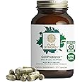 Amazon.com: PURE SYNERGY Cell Protector | Cellular Health Supplement ...