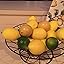 Amazon.com: Artificial Lemon - 12 pieces, 90mm: Home & Kitchen
