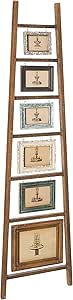 Amazon.com - Creative Co-Op Decorative Wood Ladder with 6 Hanging Photo ...