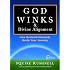 When God Winks: How the Power of Coincidence Guides Your Life (The ...