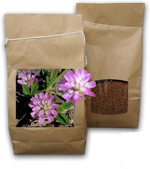 Fiori Agraria Ughetto Apicoltura Trifoglio RESUPINATO Seme Certificato kg 1 Mellifere da Semina ...