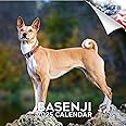 Amazon.com : 2024 2025 Basenji Calendar - Dog Breed Monthly Wall ...