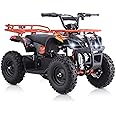 Amazon.com: HOVER HEART Dirt Quad 500 for Kids Teenager, 36V Electric 4-Wheeler for Teens, X ...