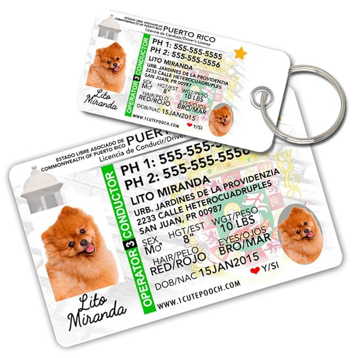 Puerto Rico Driver License Custom Dog Tags For Pets (2) And Wallet Card ...
