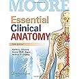 Moore Essential Clinical Anatomy: 9781451187496: Medicine & Health ...
