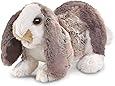 Amazon.com: Folkmanis Floppy Bunny Rabbit Hand Puppet: Toys & Games
