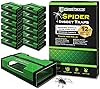 MaxGuard Spider + Insect Traps (12 pcs Box Trap) | Non-Toxic Extra ...