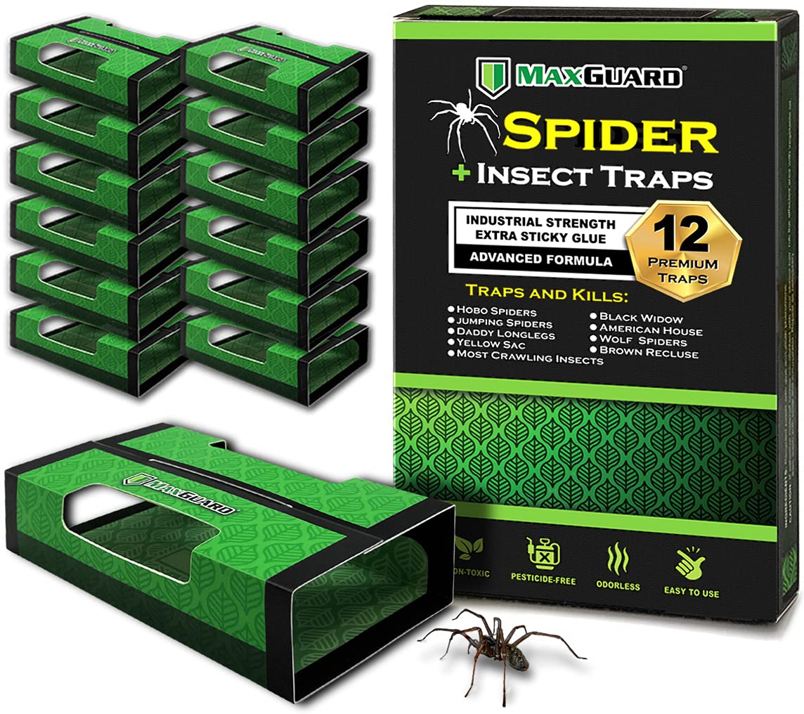 Mua MaxGuard Spider + Insect Traps (12 pcs Box Trap) | Non-Toxic Extra ...