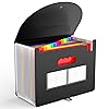 Maimis Accordion File Folder, 12 Pocket Expanding Desktop File Keeper ...