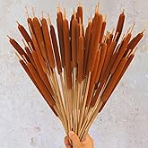 Amazon.com: 45pcs Large Natural Brown Cattails Bundles - Dried Flowers ...