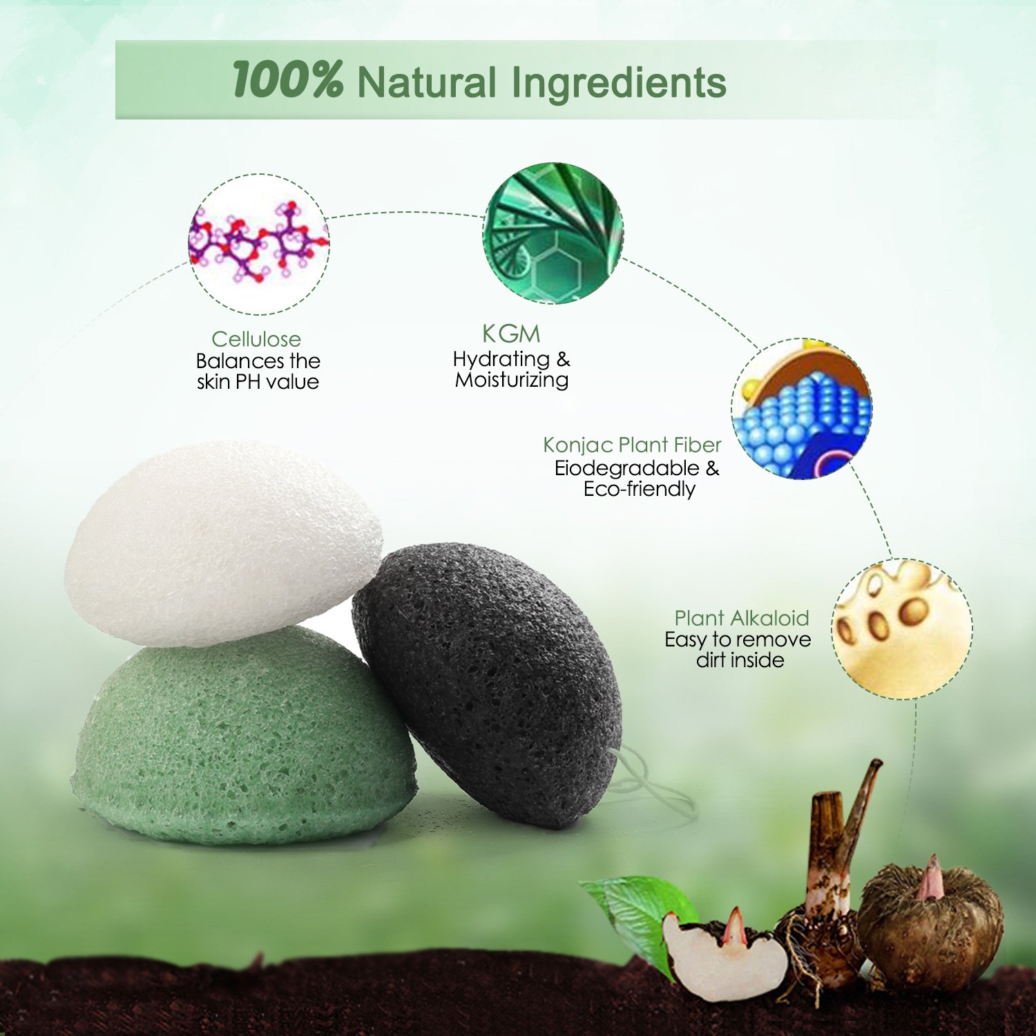 Akimo Konjac Facial Sponge - 3 Pack Natural Activated (Milk, Green Tea and Bamboo Charcoal) Face ...
