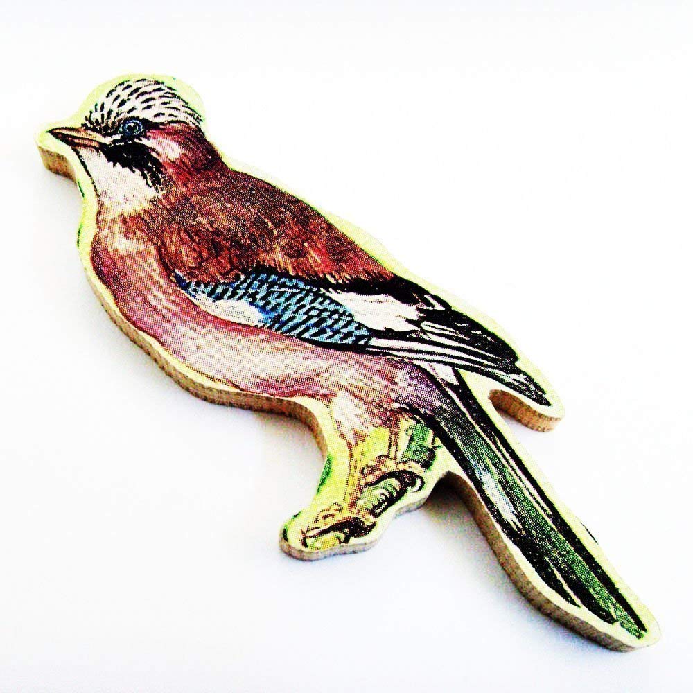 Amazon.com: Handmade Blue Jay Bird Brooch - Pin / ME2Designs Upcycled ...