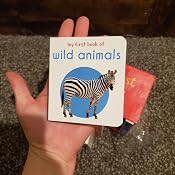 Amazon.com: My First Library : Boxset of 10 Board Books for Kids ...