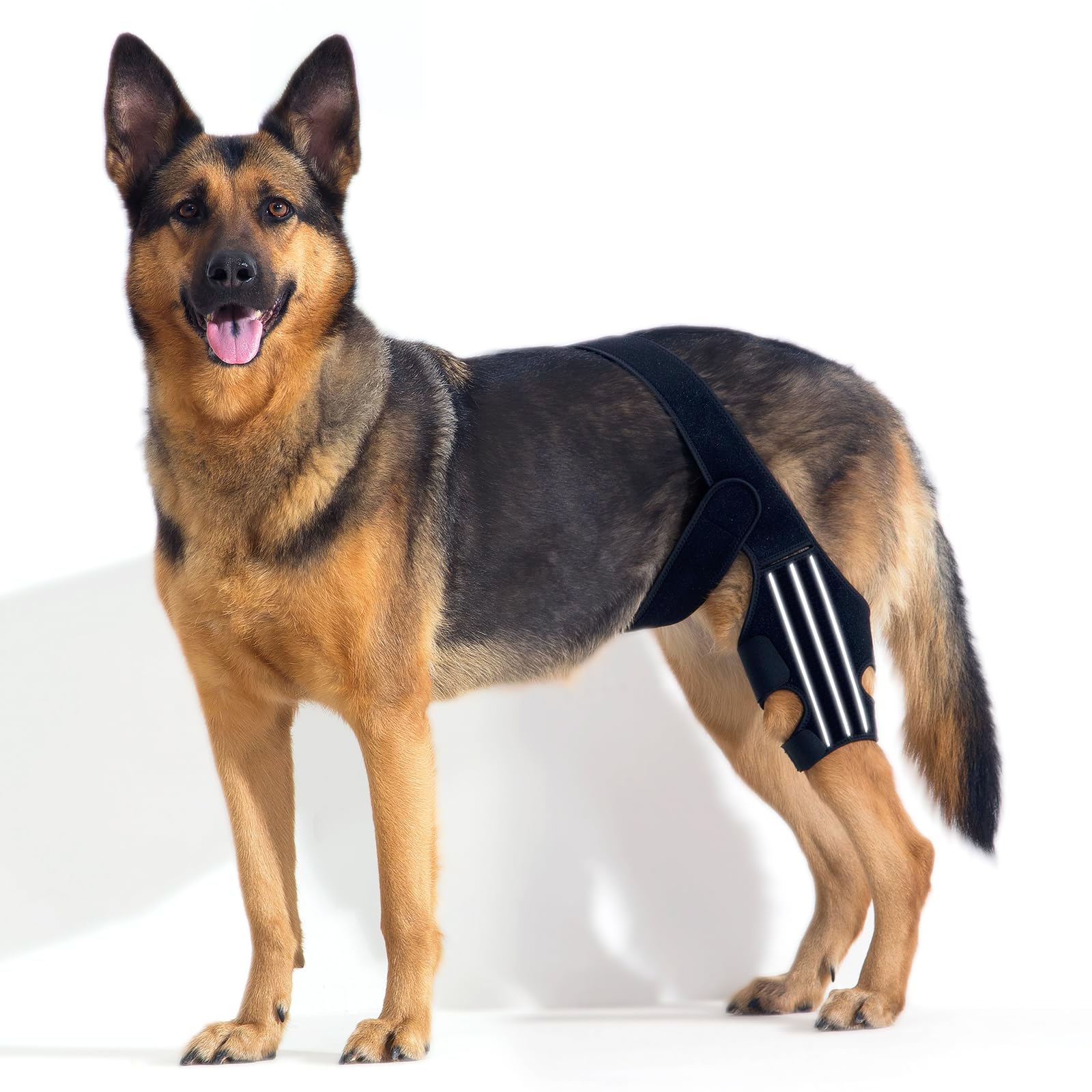 BENCMATE Adjustable Dog Knee Brace, Universal Designed for All Four ...