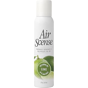 Amazon.com: Air Scense Air Freshener, Lime - 7 Oz, 4 pack: Health ...