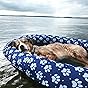 Amazon.com: SwimWays Spring Float Paddle Paws Dog Pool Float - Small (0 ...
