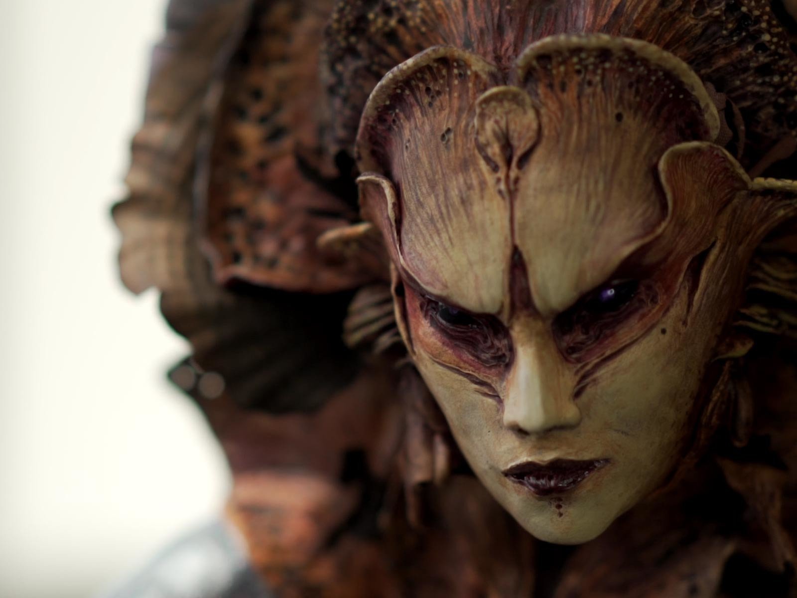 Amazon.co.jp: Dungeon Life: A Dungeons & Dragons Documentary : Todd ...