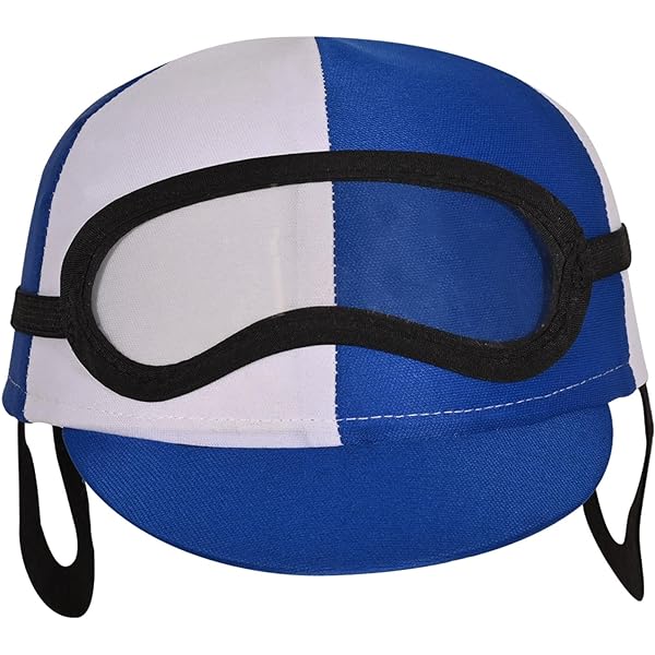 Toddler Car Halloween Costume Boys Horse Racer Costume, Blue Jockey ...