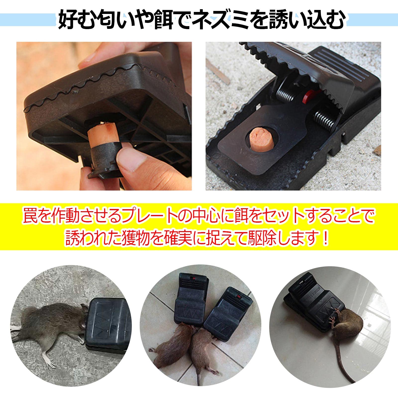 Mua Simple Chocolate Mouse Trap, Easy Set of 3, Mouse Trap, Trap, Reuse ...