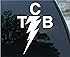 Amazon.com: TCB Elvis GOLD - 15" GOLD vinyl window decal sticker ...