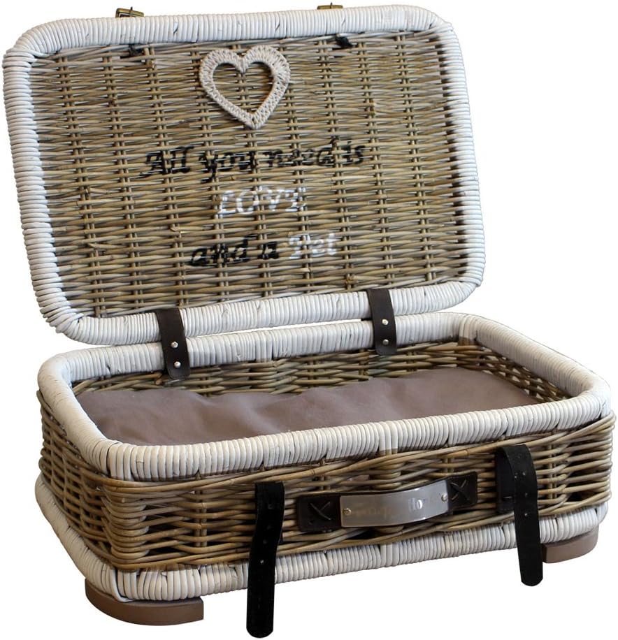Happy-House Rattan Suitcase – BigaMart