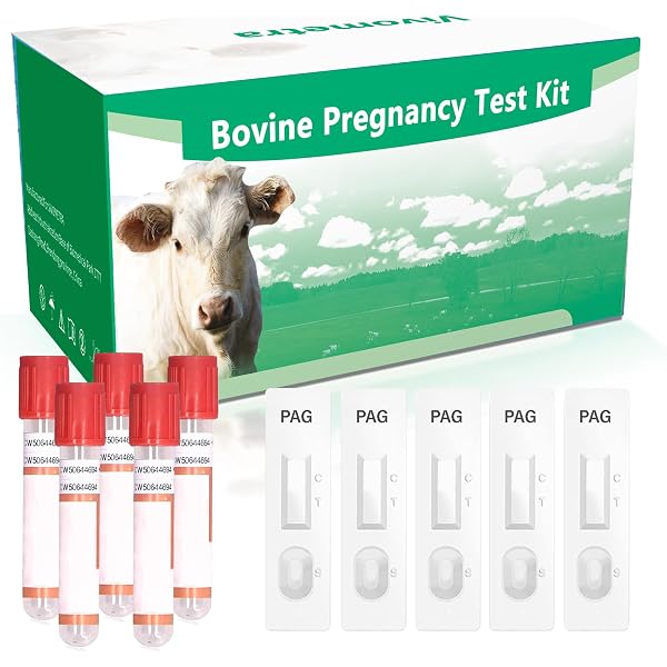 Clear Blue Pregnant Test Jual Professional Bovine Cow Serum Testing ...