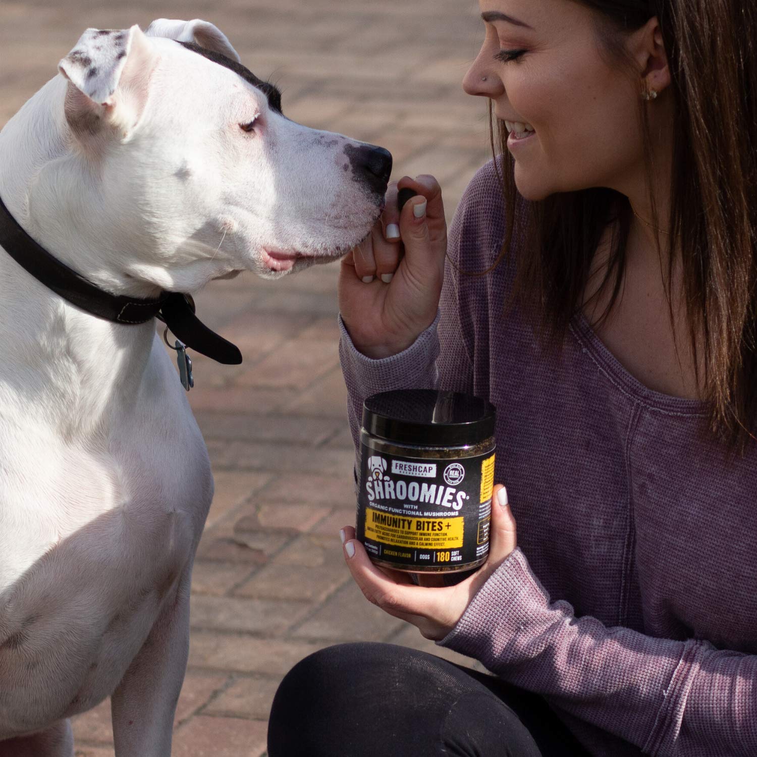 Mua Shroomies - Organic Mushroom Complex for Dogs - Turkey Tail, Lions ...