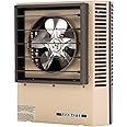 Amazon.com: TPI/Raywall HF2B5105N 5100 Series Fan Forced Unit Heater ...