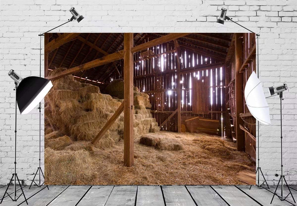 Amazon.com : BELECO 10x6.5ft Farm Backdrop Interior of Old Barn with ...