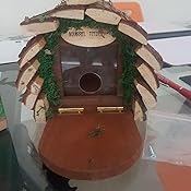 Natures market Squirrel Hotel: Amazon.co.uk: Garden & Outdoors