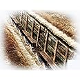 Amazon.com: Master Box 35174 - The Trench. WWI & WWII era 1/35 Scale ...