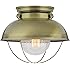 Sea Gull Lighting 8869-44 Sebring One-Light Outdoor Flush Mount Ceiling ...