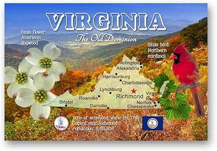 Amazon.com : VIRGINIA MAP postcard set of 20 identical postcards. VA ...