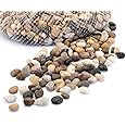 Amazon.com: Royal Imports 5LBS River Rocks Decorative Ornamental ...