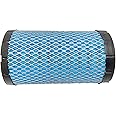 Amazon.com: Polaris RANGER Air Filter for Specific 1000, CREW 1000, XP ...