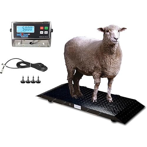 SellEton SL-920-2k Industrial Portable Scale for Small Animals | 50" x ...