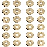 Amazon.com : Shinelan Rain Sensor Hygroscopic Discs for Rain Bird Rain Sensors of RSD, WR2 ...