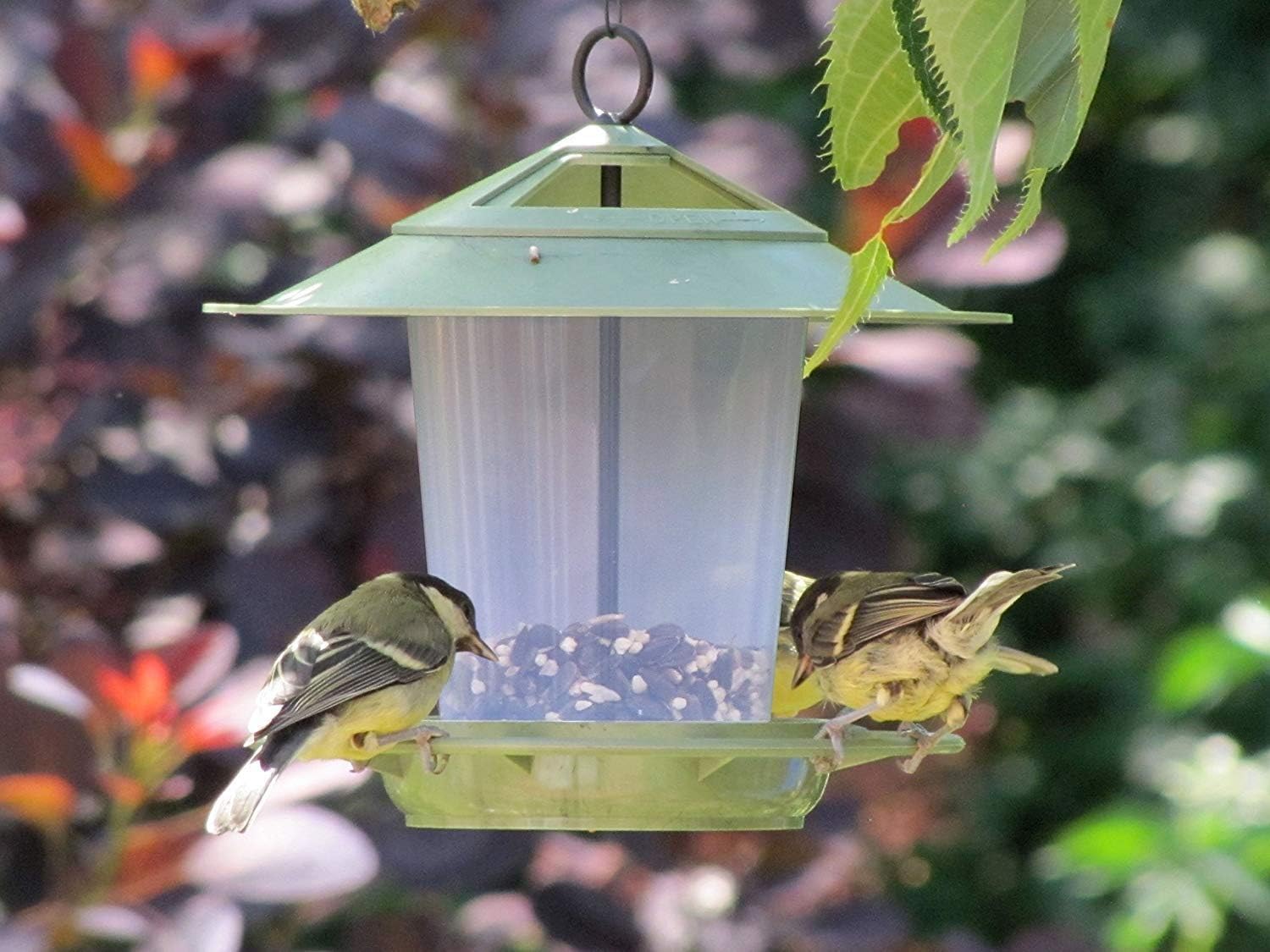 Wildlife World Eco Beacon Bird Feeder – BigaMart