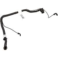 Amazon.com: GM Genuine Parts 25193343 Positive Crank Ventilation (PCV ...